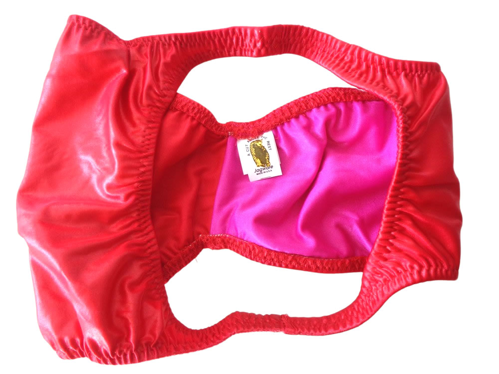 Jagware ブラジルカット ボディビル ポージングスーツ ウェットルック レッド Posing Suits BRAZIL CUT j066c21